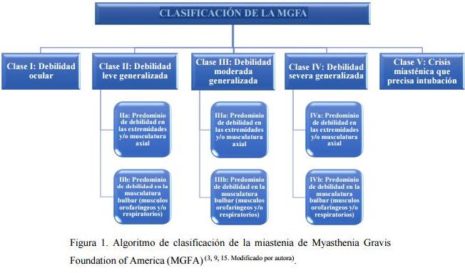 Clasificación | Miastenia y Salud: tu Web enfermera